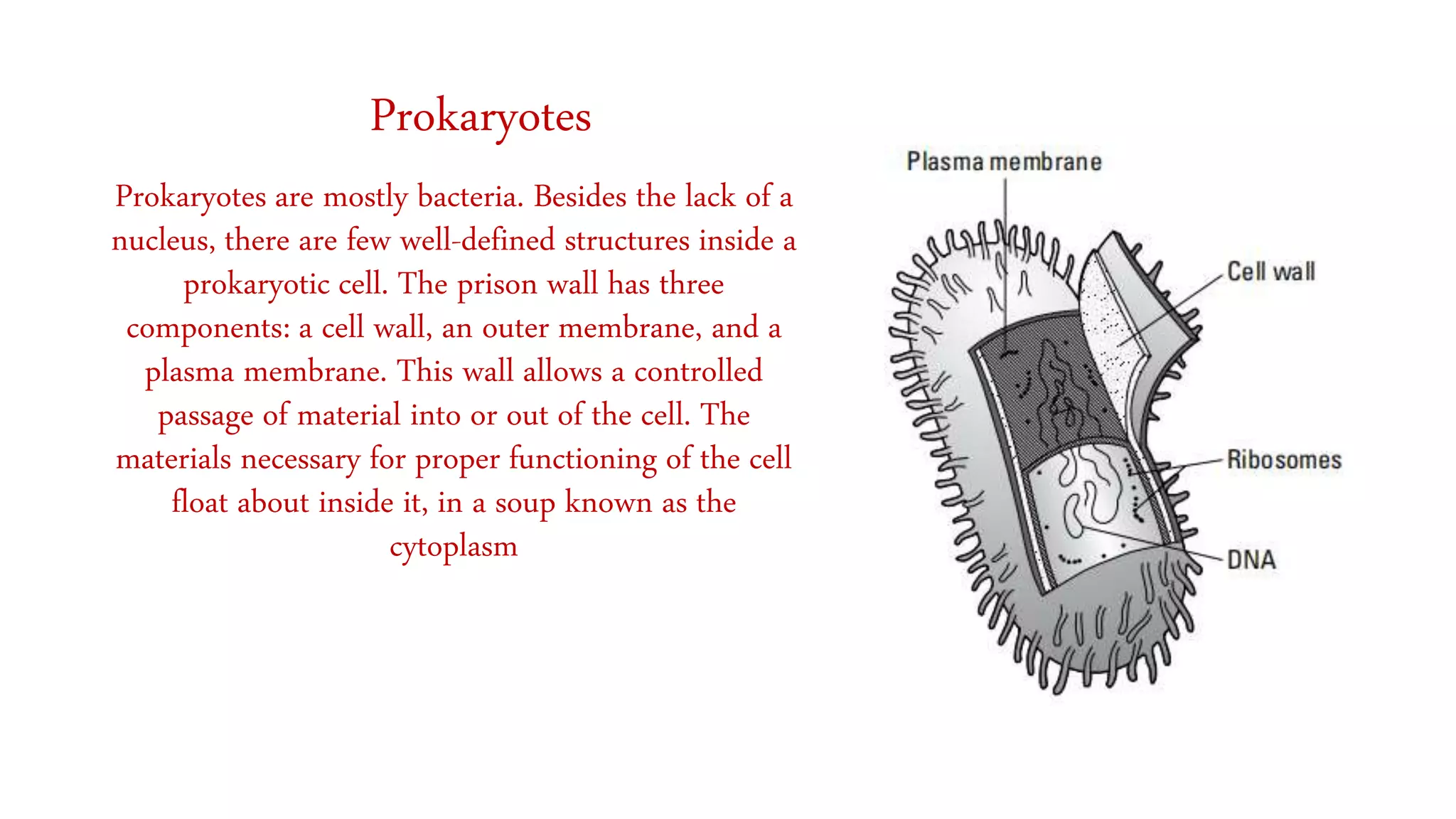 Types of living cells | PPTX