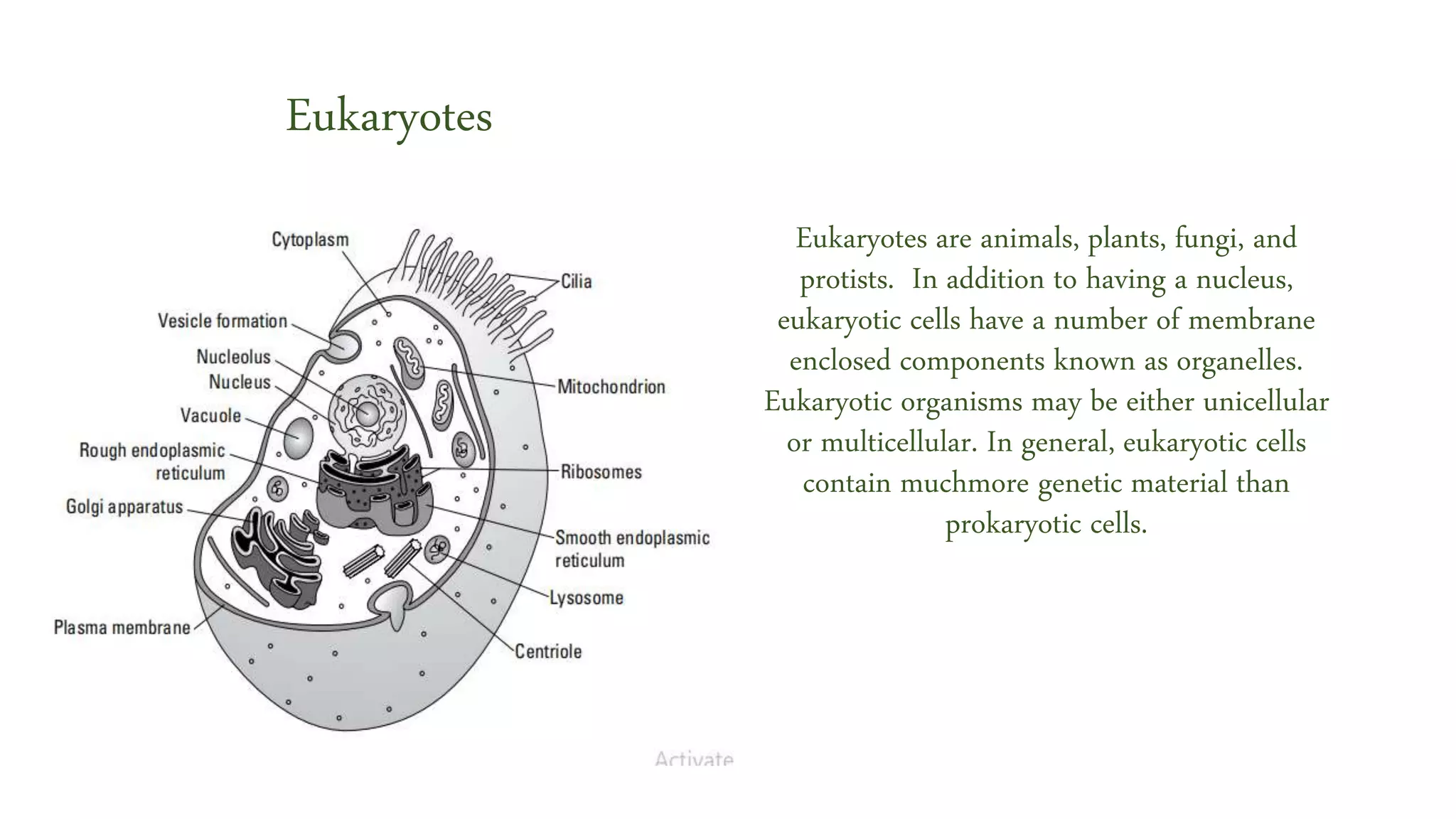 Types of living cells | PPTX