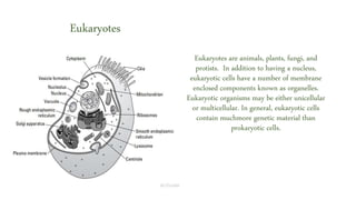 Types of living cells | PPTX