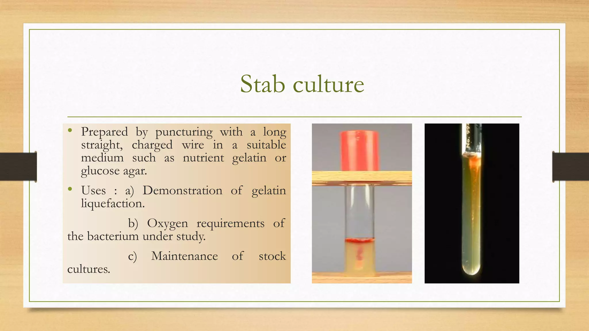 Types of Media in Microbiology & Plating Techniques. (1).pptx