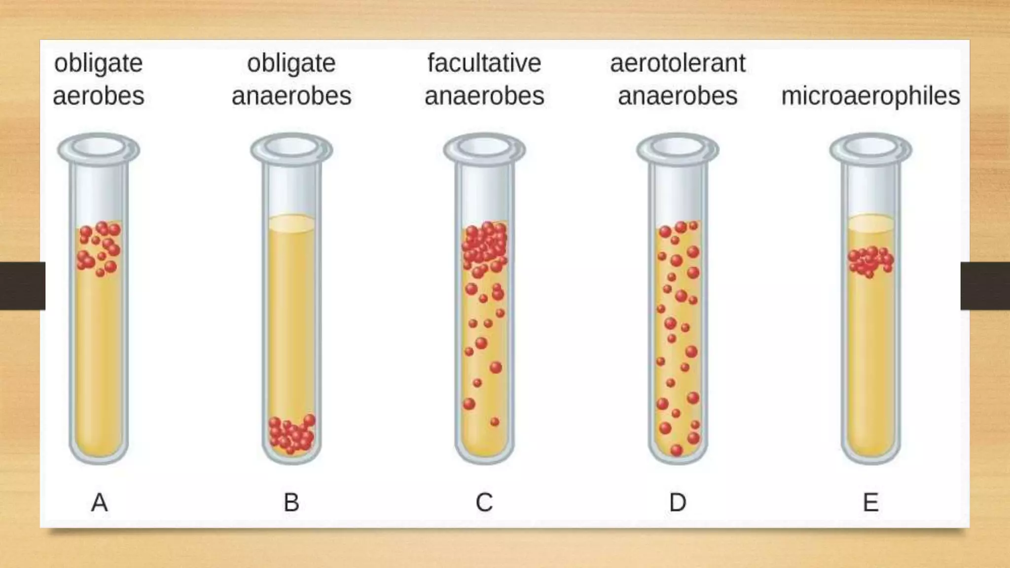 Types of Media in Microbiology & Plating Techniques. (1).pptx