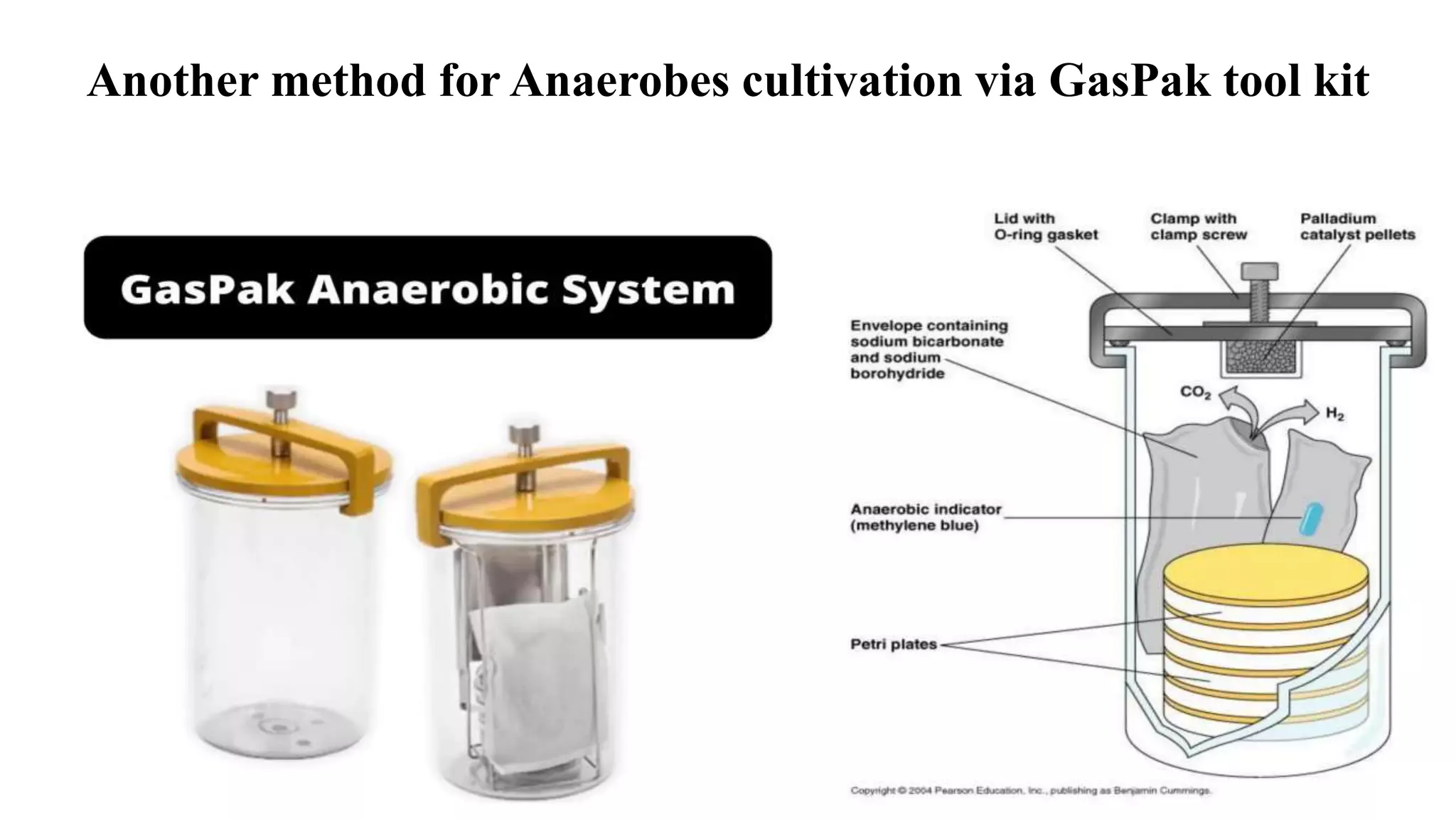 Types of Media in Microbiology & Plating Techniques. (1).pptx