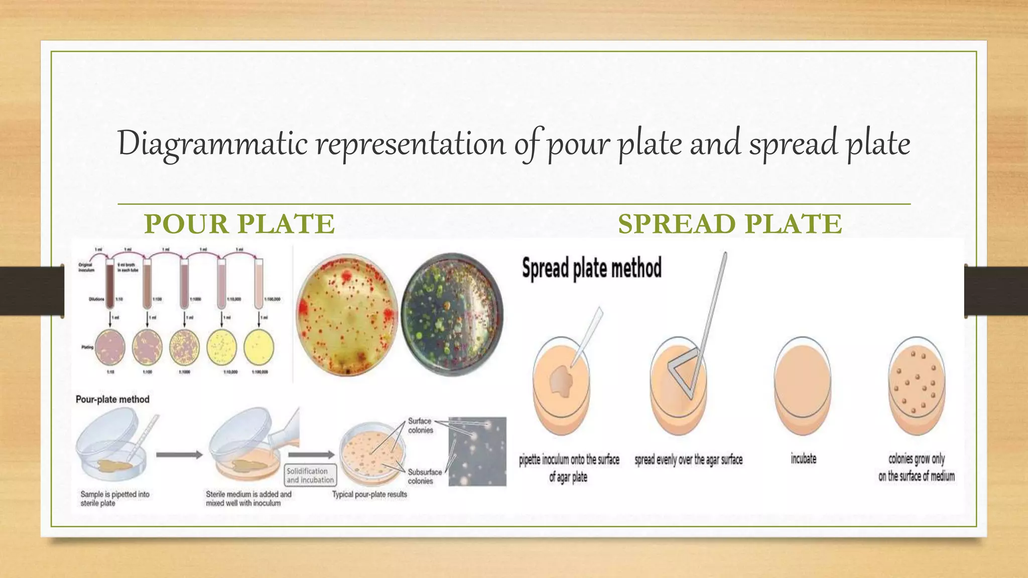 Types of Media in Microbiology & Plating Techniques. (1).pptx