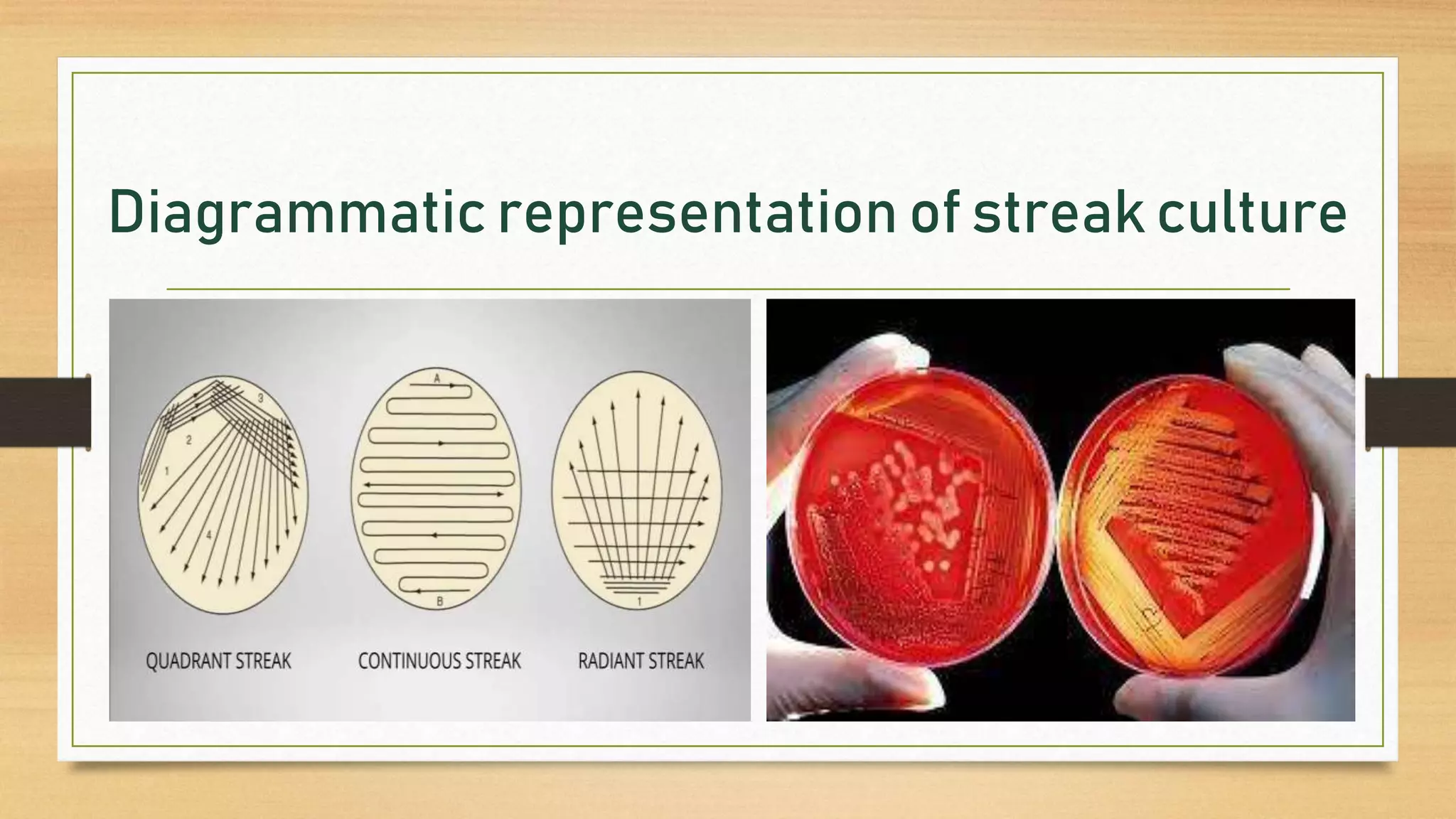 Types of Media in Microbiology & Plating Techniques. (1).pptx