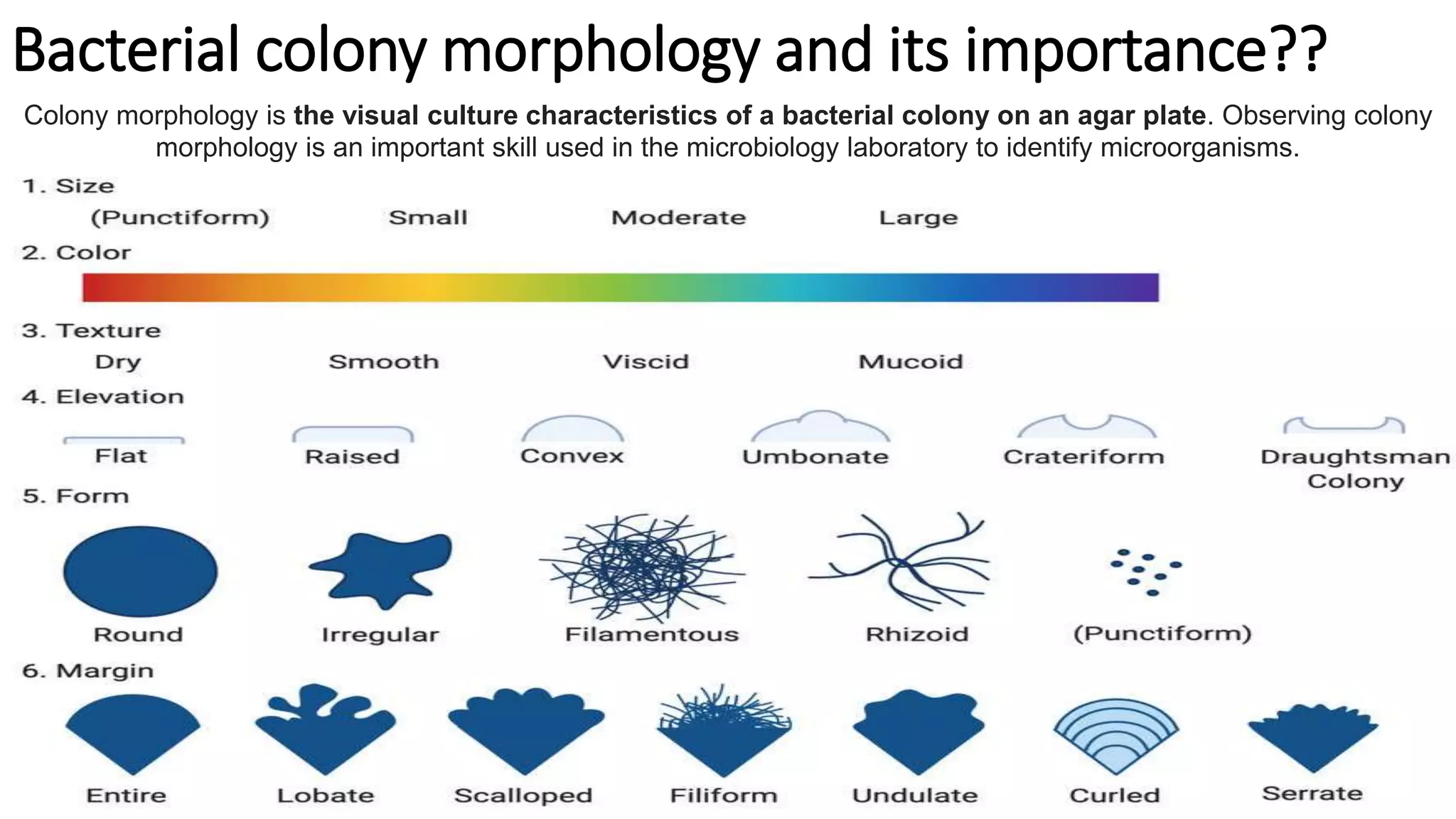 Types of Media in Microbiology & Plating Techniques. (1).pptx