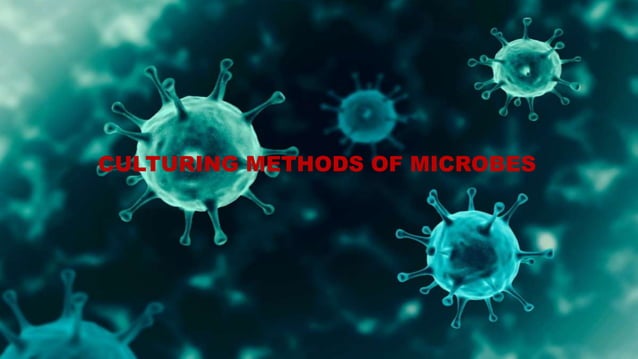 Types of Media in Microbiology & Plating Techniques. (1).pptx ...