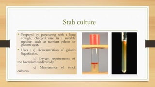Types of Media in Microbiology & Plating Techniques. (1).pptx