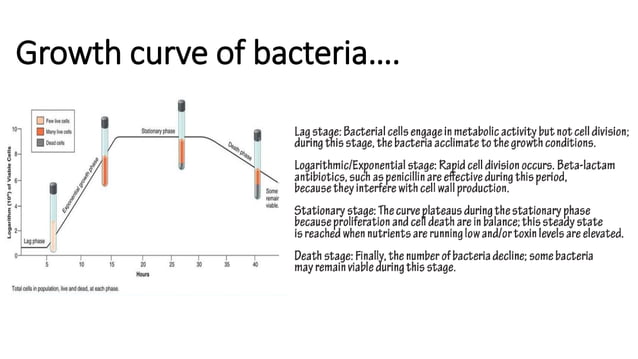 Types of Media in Microbiology & Plating Techniques. (1).pptx ...
