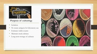 Types of Media in Microbiology & Plating Techniques. (1).pptx