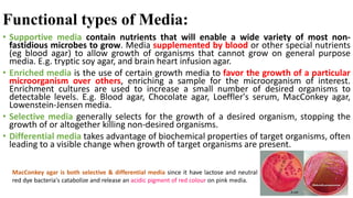 Types of Media in Microbiology & Plating Techniques. (1).pptx