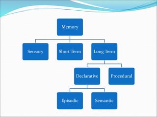 Types of Memory.ppt | Science