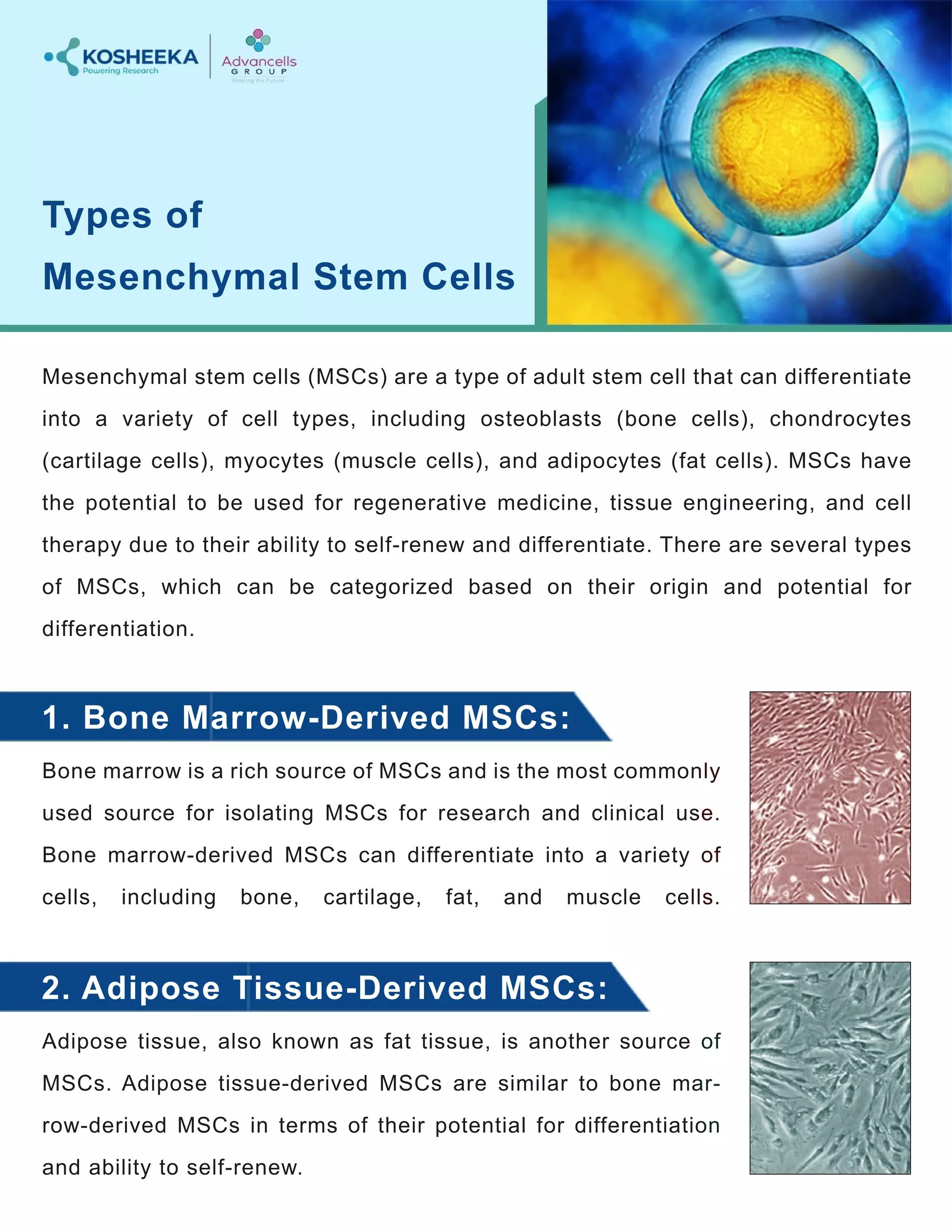 Types of Mesenchymal Stem Cells.pdf