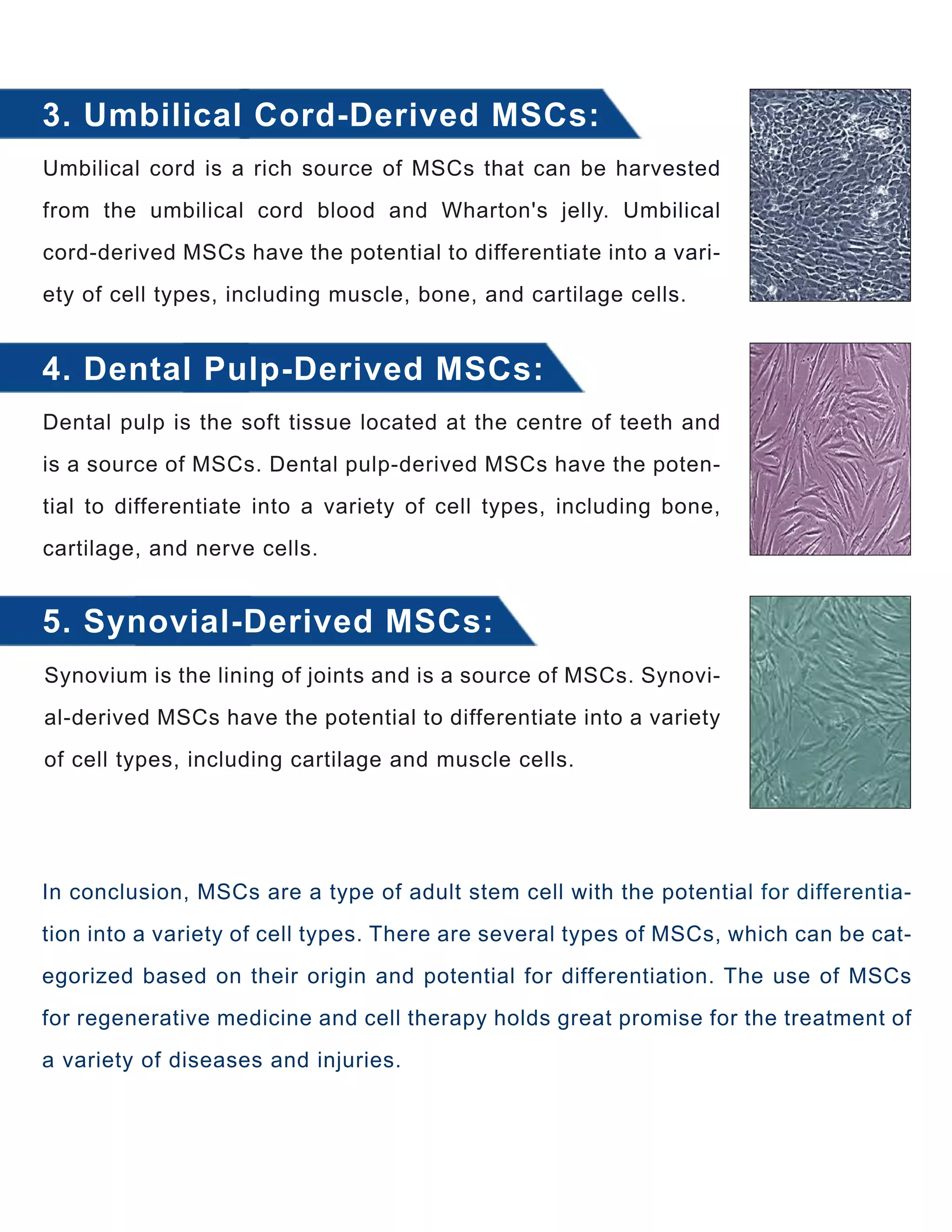 Types of Mesenchymal Stem Cells.pdf