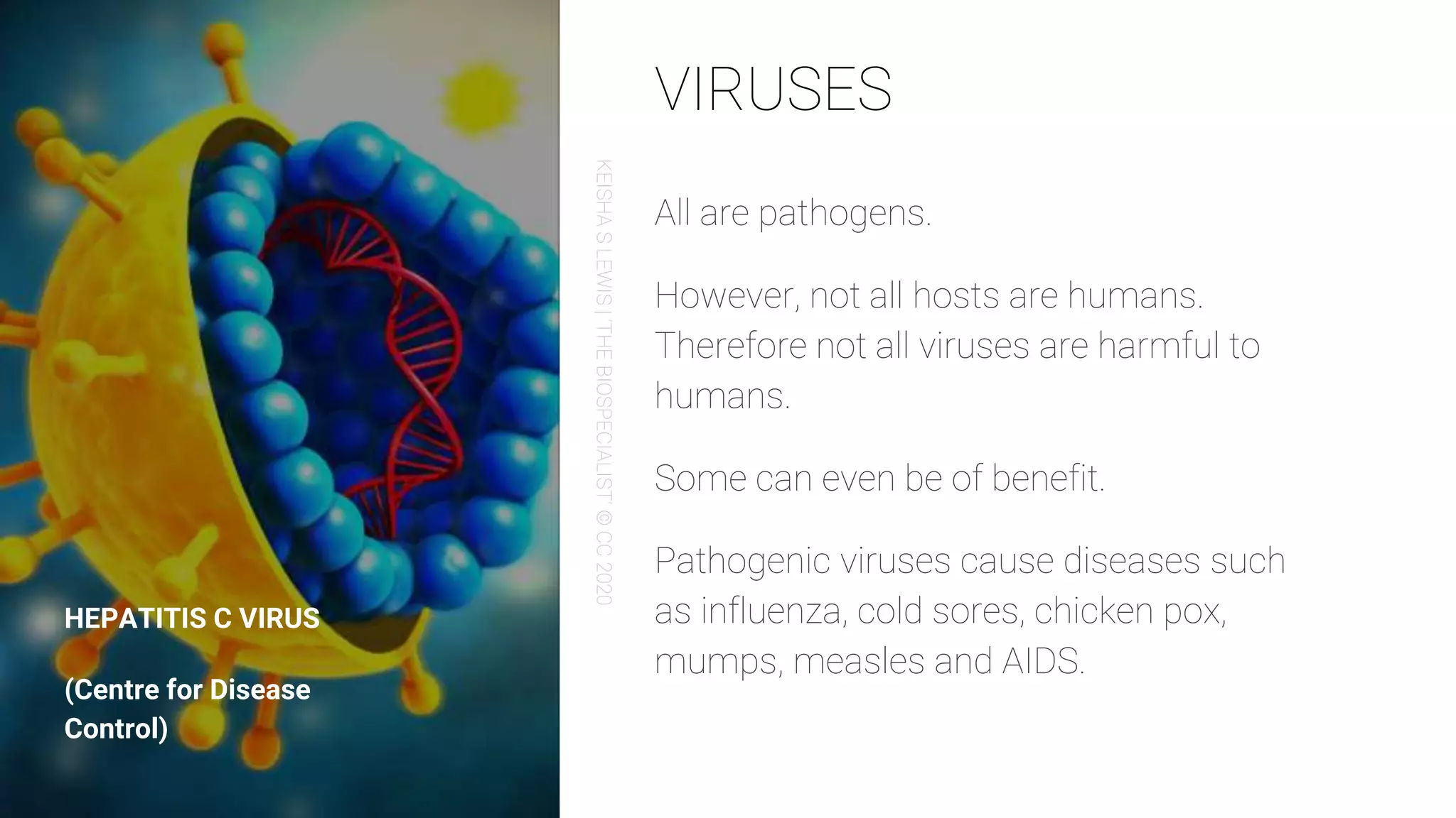 Types of Microbes | CSEC-CXC | PPTX