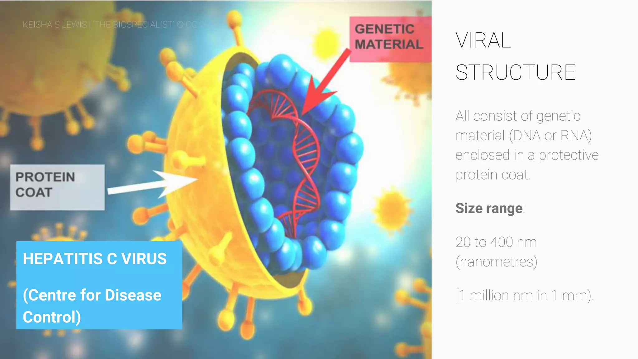 Types of Microbes | CSEC-CXC | PPTX