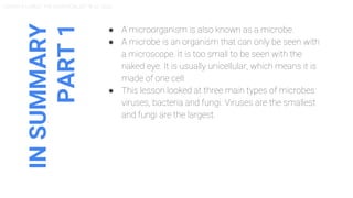 Types of Microbes | CSEC-CXC | PPTX