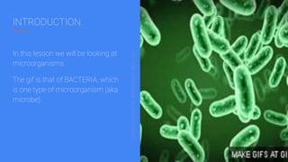 Types of Microbes | CSEC-CXC | PPTX