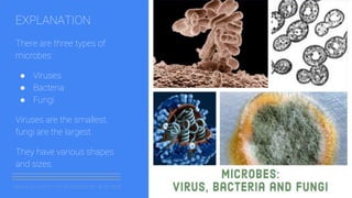 Types of Microbes | CSEC-CXC | PPTX