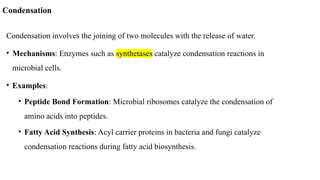 types of microbial tarnsformation (1).pptx