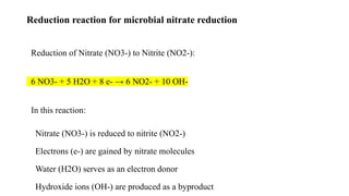 types of microbial tarnsformation (1).pptx