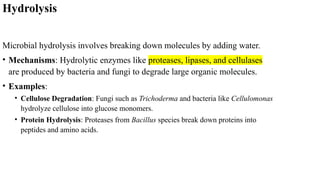 types of microbial tarnsformation (1).pptx