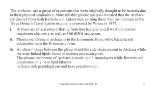 Types of microorganism | PPT