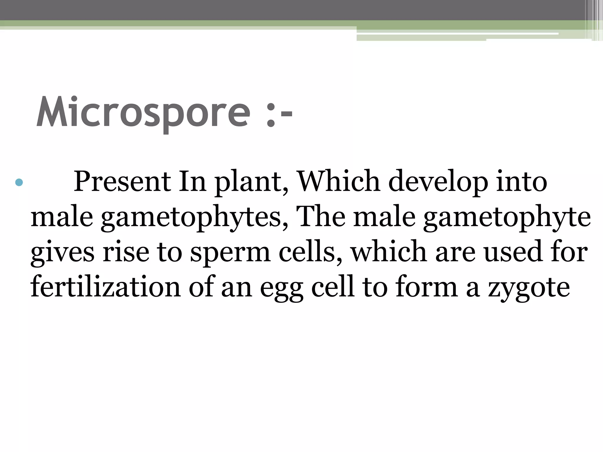 Types of micropore | PPTX