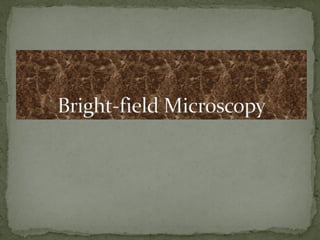Types of microscope | PPT