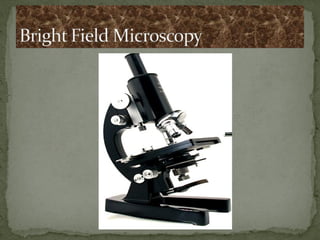 Types of microscope | PPT
