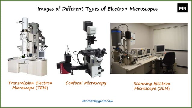 Types of Microscopes with their applications | PPTX | Photography | Arts and Crafts