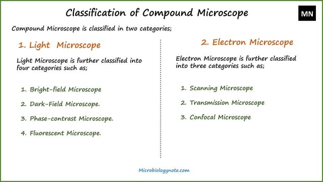 Types of Microscopes with their applications | PPTX | Photography | Arts and Crafts