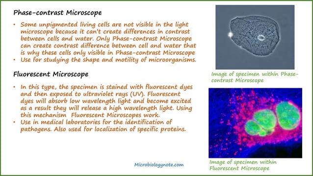 Types of Microscopes with their applications | PPTX | Photography | Arts and Crafts