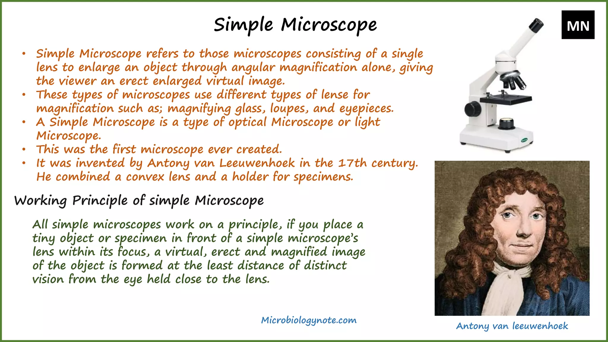 Electron Microscope: Definition, Types, Parts, Application, Advantages ...