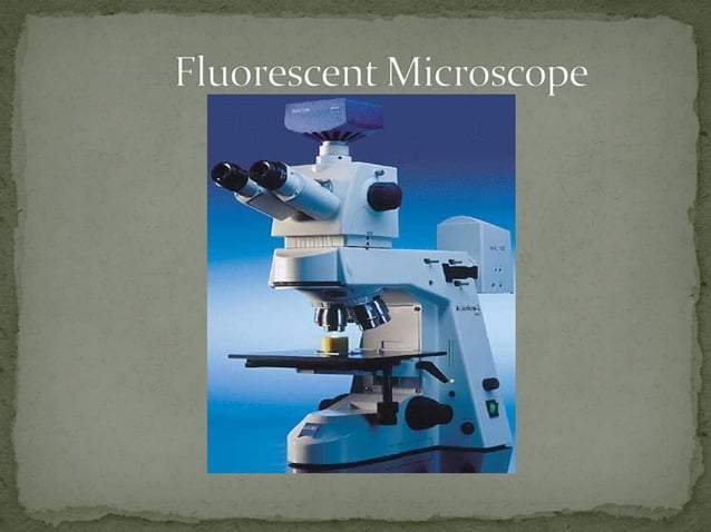 TYPES OF MICROSCOPE.pptx And Principles of Microscopy | PPTX