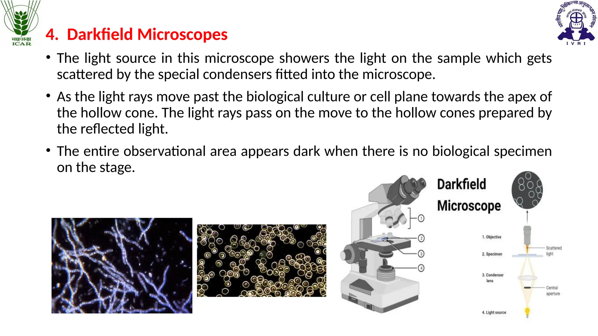 Types of Microscope.pptx for students who wants to study detailing ...
