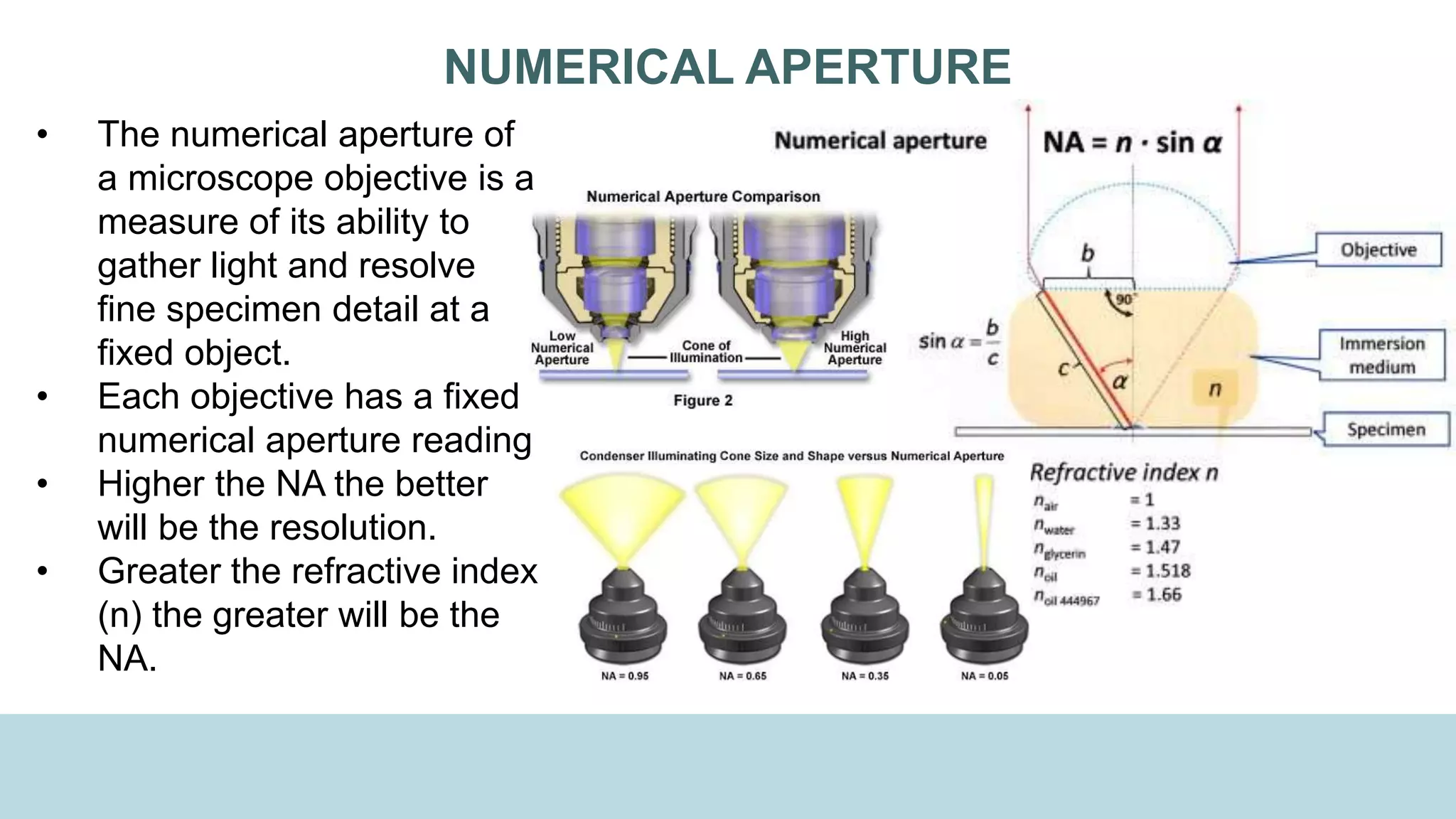 Types of Microscope | PPTX
