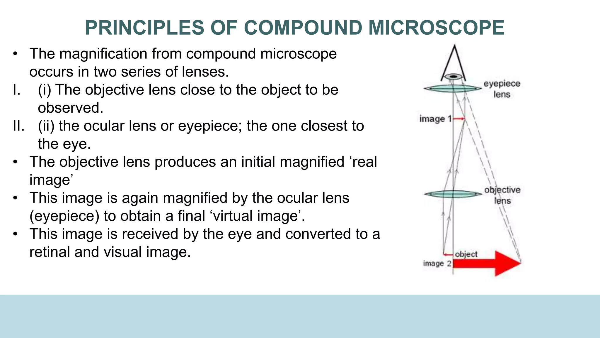 Types of Microscope | PPTX
