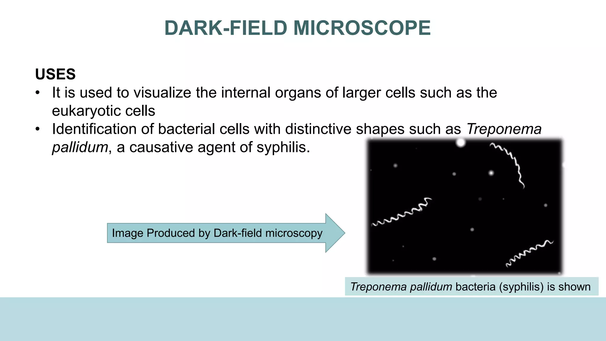 Types of Microscope | PPTX