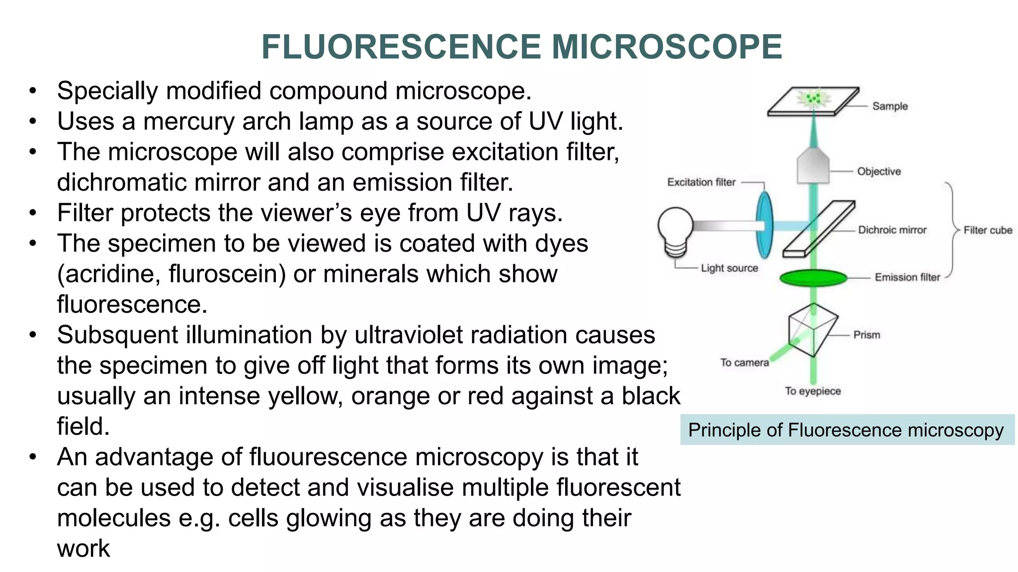 Types of Microscope | PPTX
