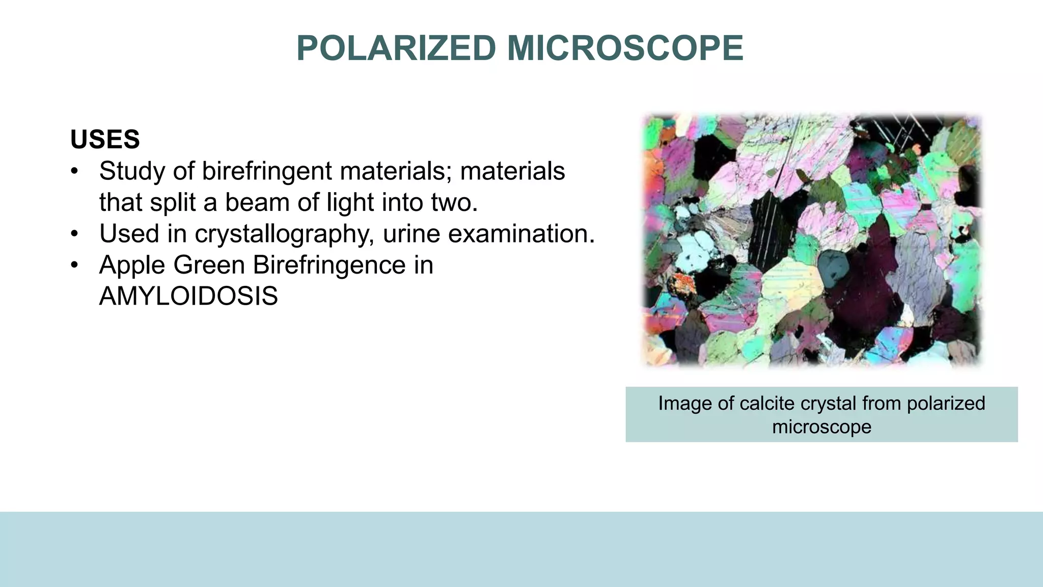Types of Microscope | PPTX