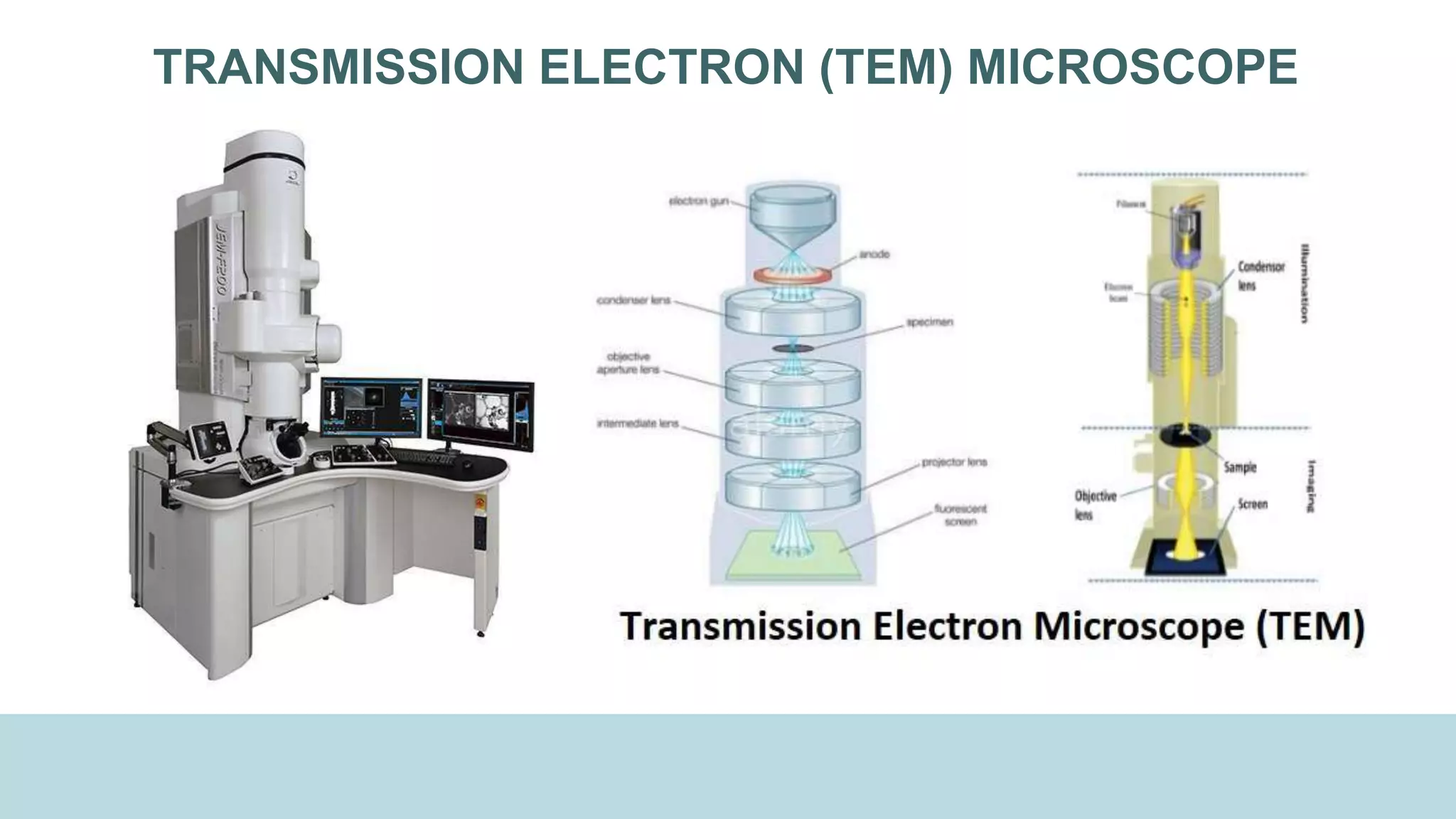 Types of Microscope | PPTX