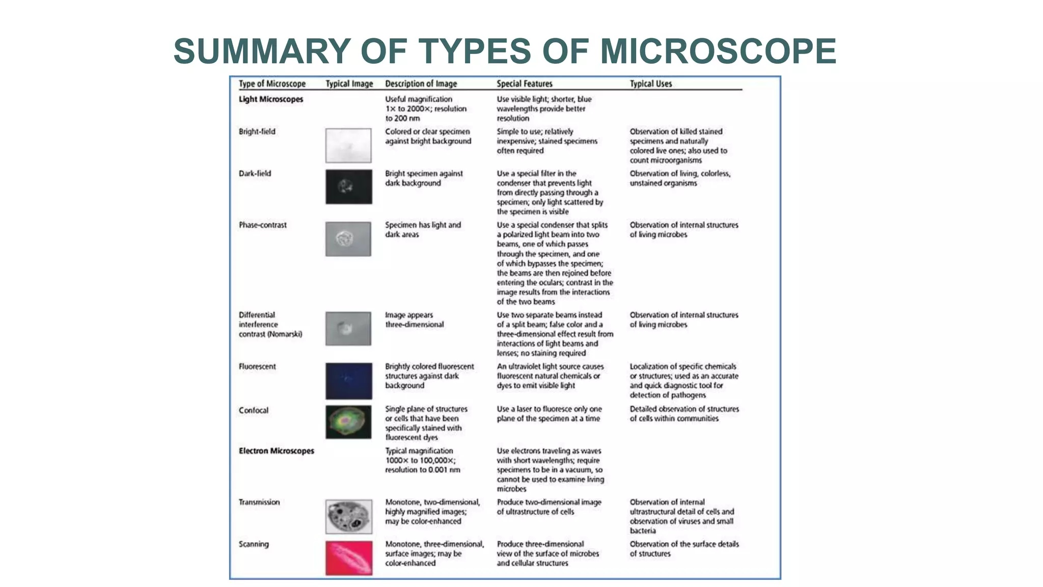 Types of Microscope | PPTX