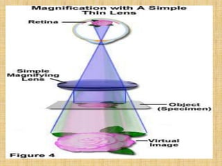 Lectures Notes Types of microscopes.pptx