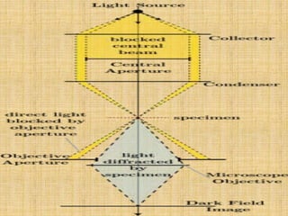 Lectures Notes Types of microscopes.pptx