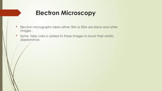 Types of Microscopes.pptx that used in labs | PPTX