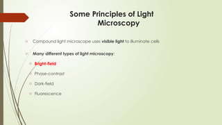 Types of Microscopes.pptx that used in labs | PPT
