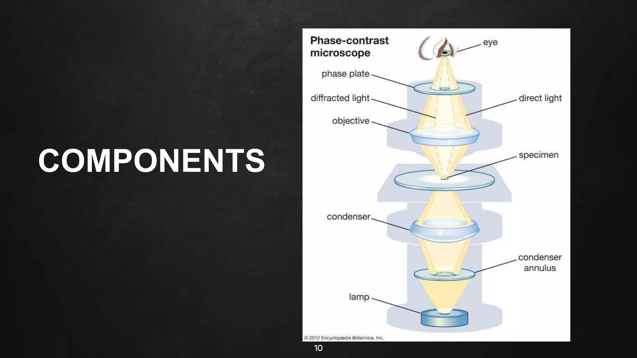 Types of microscopes | PPTX | Photography | Arts and Crafts