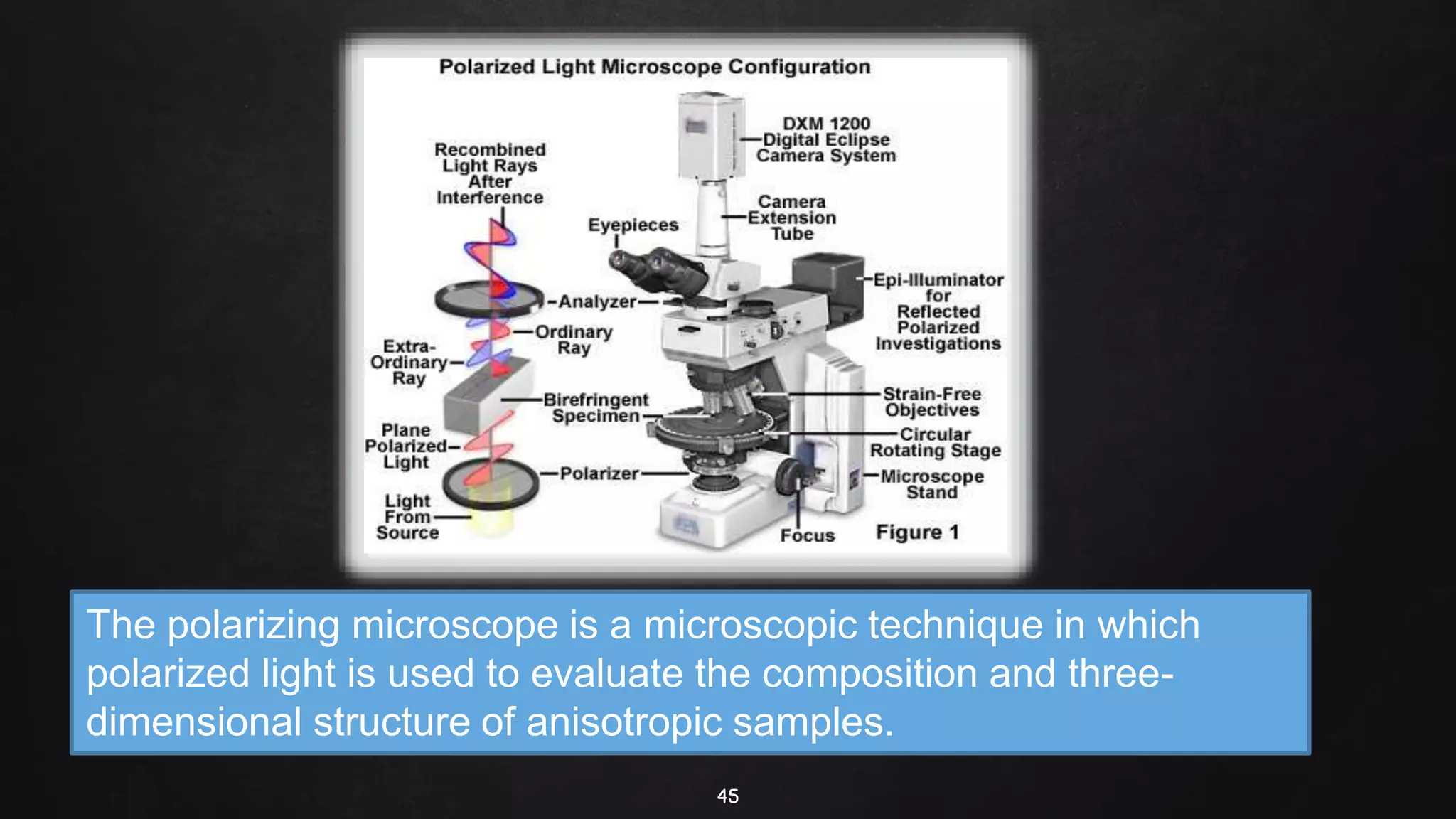 Types of microscopes | PPTX | Photography | Arts and Crafts