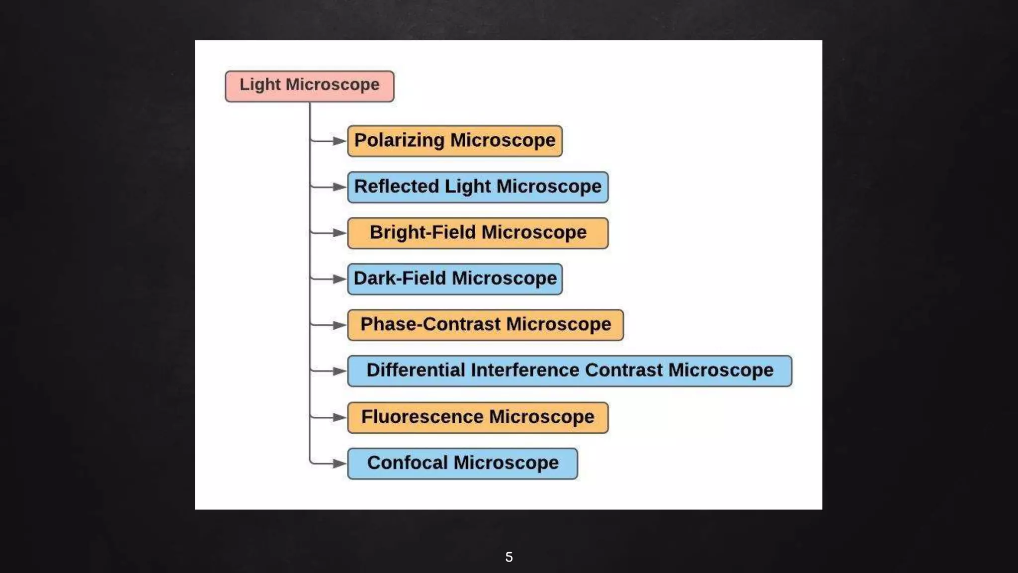 Types of microscopes | PPTX | Photography | Arts and Crafts