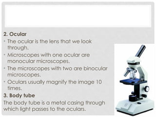 Types of Microscopy (Light Microscope, Simple Microscope, Compound ...